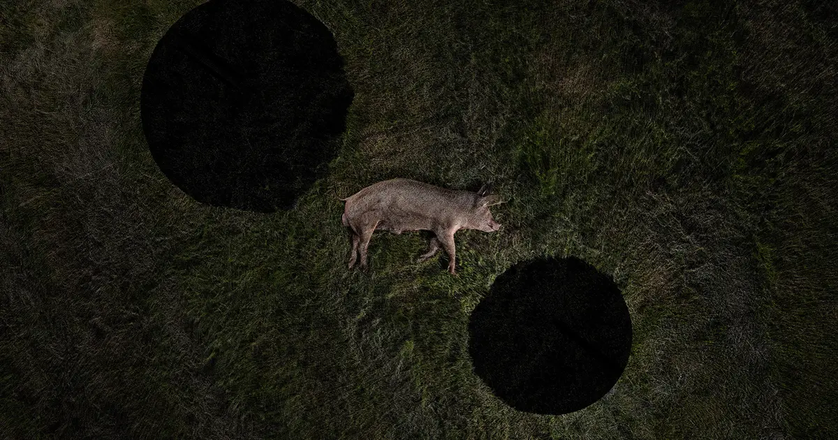 ScanLAB Projects - Horizontal Humans | The Photographers Gallery