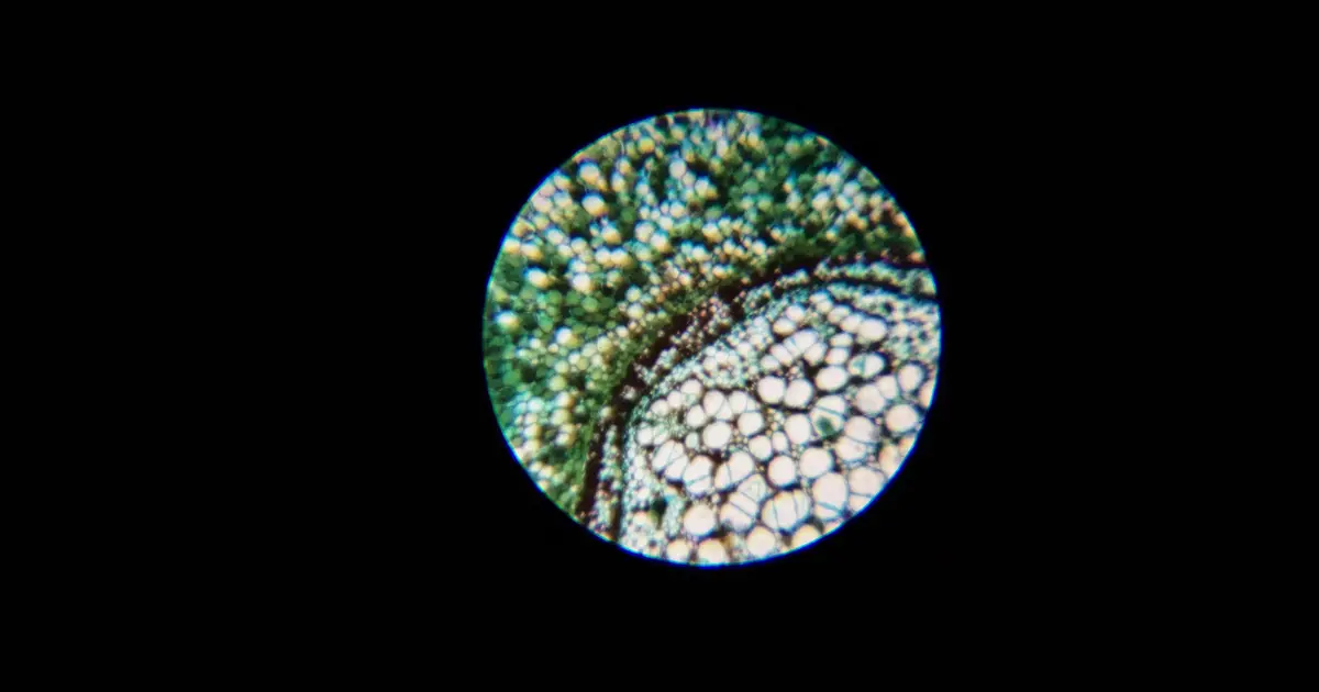 Green Hacks | The Photographers Gallery