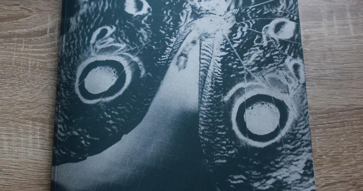 A Young Person Recommends... The Missing Eye | The Photographers Gallery