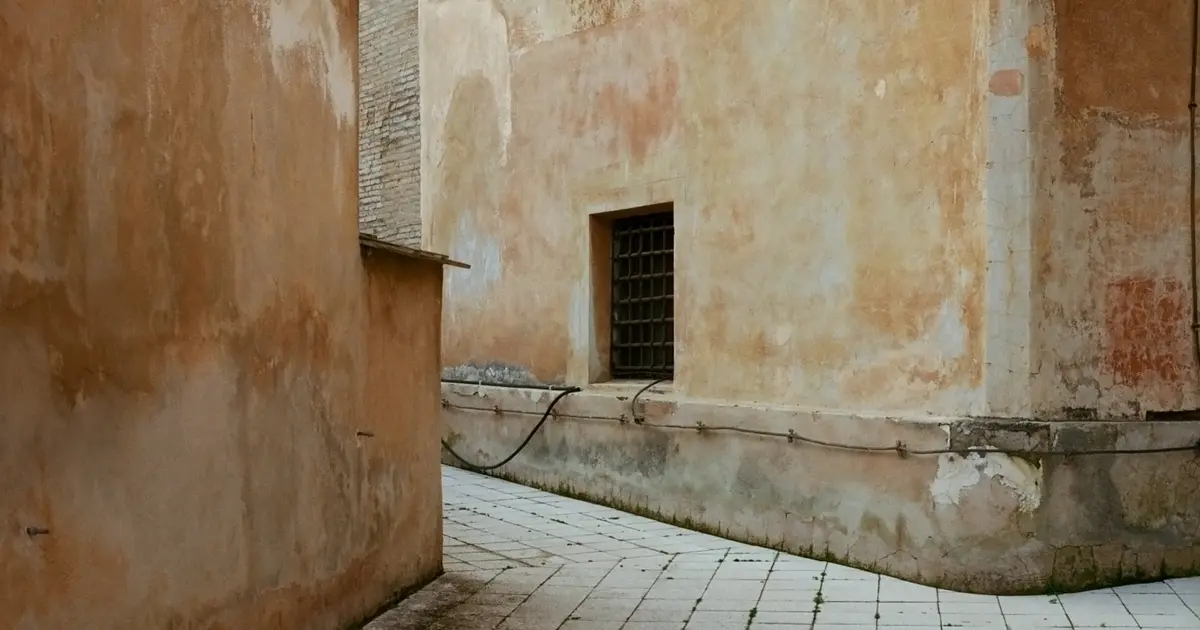 Workshop: Framing and Composition 2024 | The Photographers Gallery